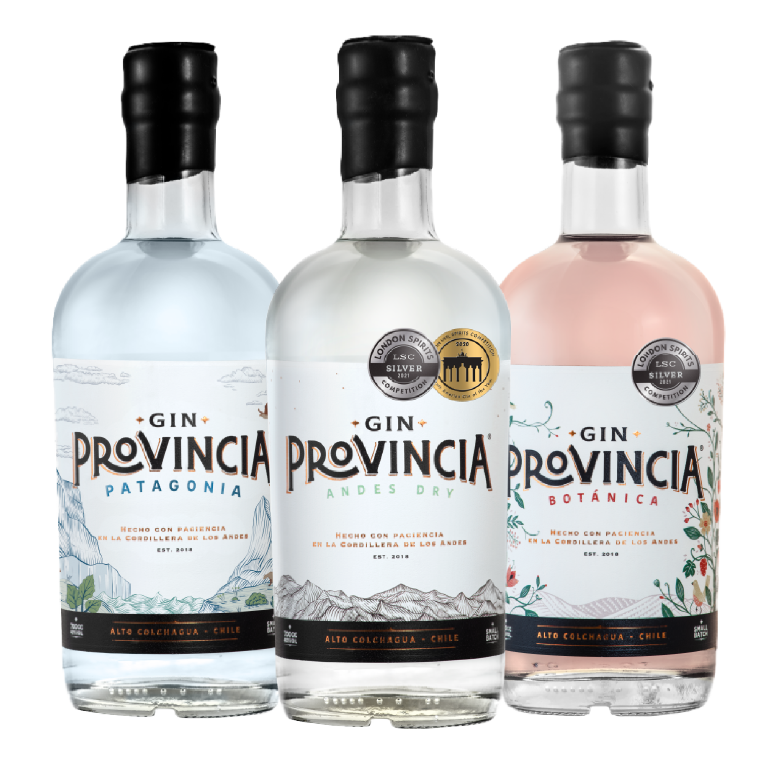 PACK DE ORO | 1 GIN PROVINCIA ANDES DRY + 1 BOTÁNICA + 1 PATAGONIA ...