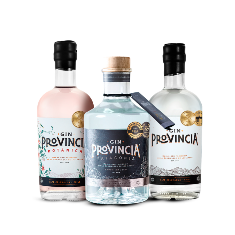 PACK DE ORO | 1 GIN PROVINCIA ANDES DRY + 1 BOTÁNICA + 1 PATAGONIA ...