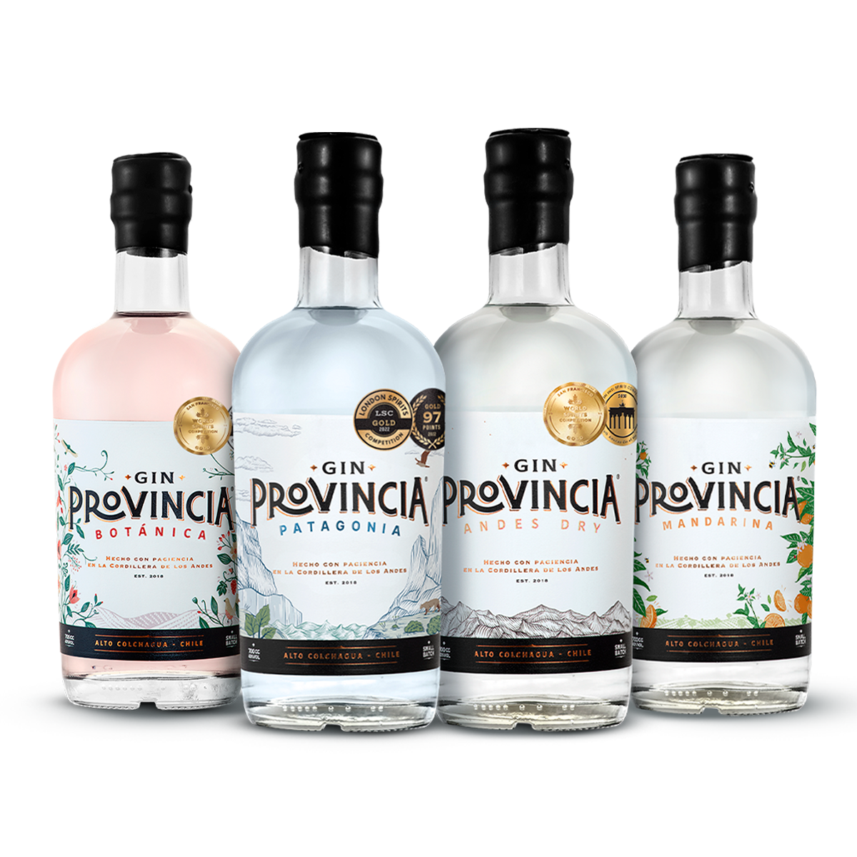 GIN PROVINCIA PATAGONIA + ANDES DRY – Gin Provincia